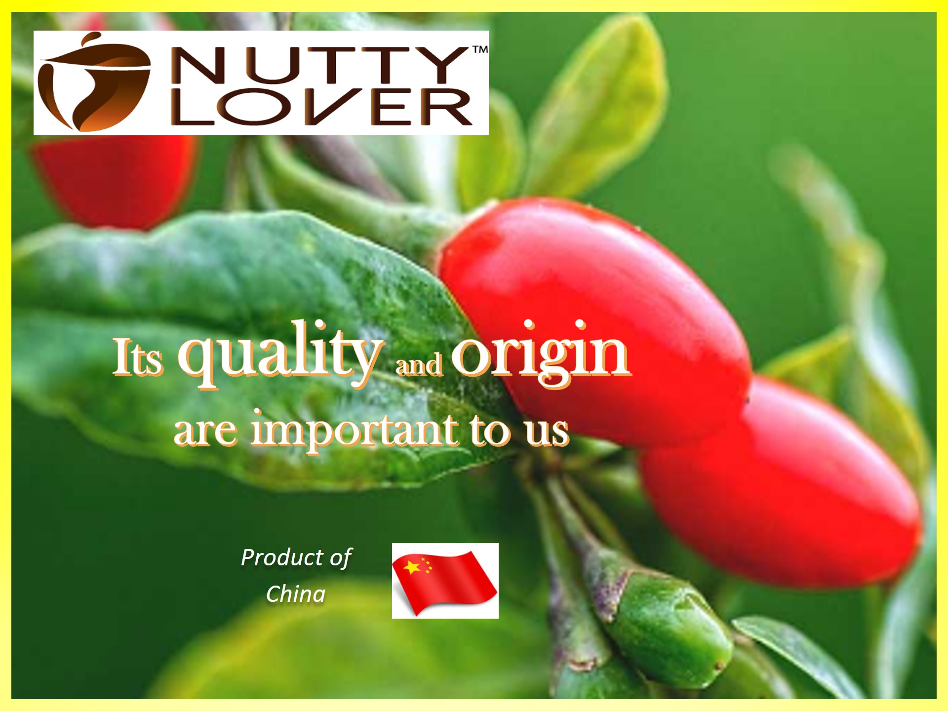 1KG Dried Goji Berry NingXia China (2 x 500gram) - Nutty Lover