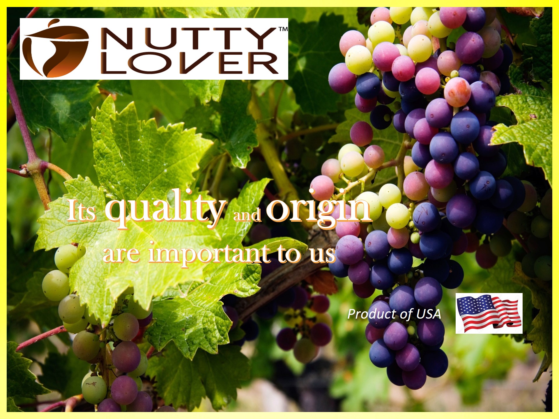 1KG Premium Black Raisin USA (2 x 500gram) - Nutty Lover