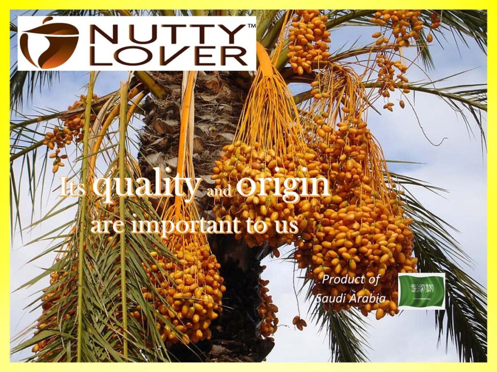500Gram Premium Khudry Dates Saudi Arabia / Kurma Kudri - Nutty Lover